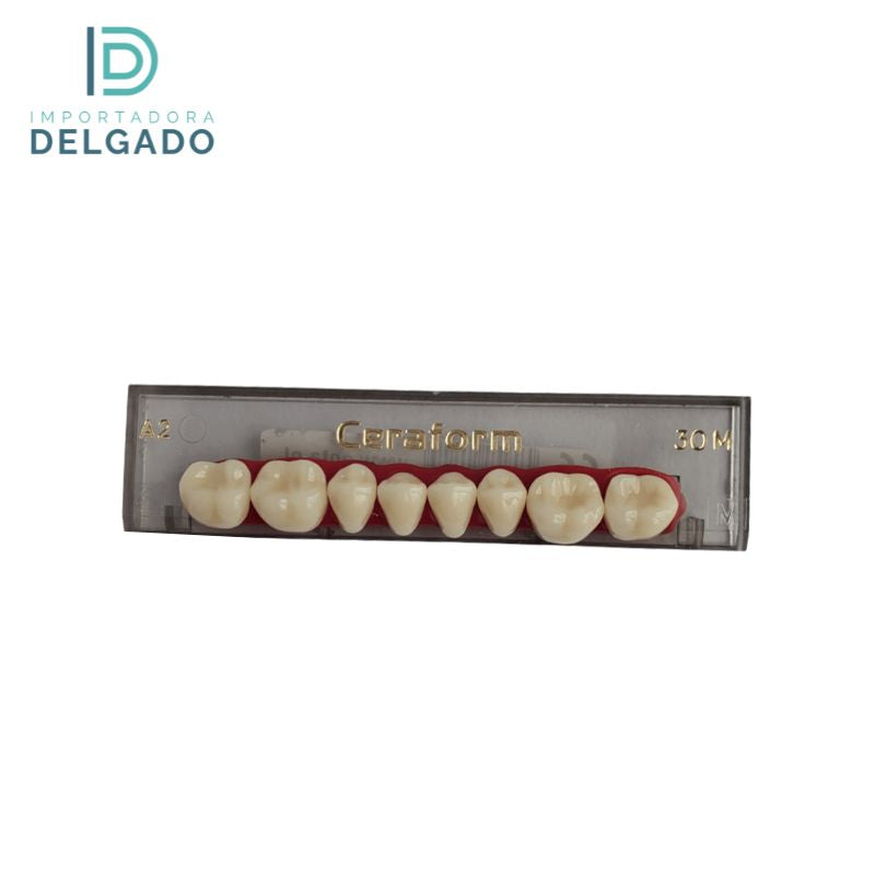 MOLAR CERAFORM LO A2 – Importadora Delgado