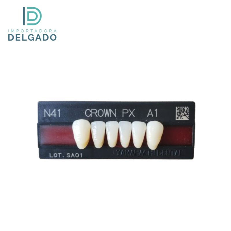 Diente de Resina YAMAHACHI N41 LO A1 - 3D LO A1 – Importadora Delgado
